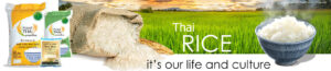 THAI LONG GRAIN RICE – Sandstone International – Thailand